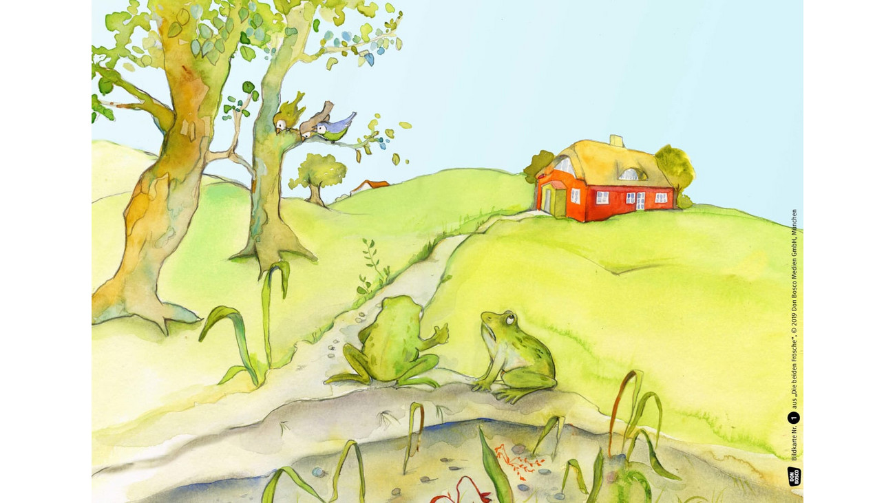Die beiden Frösche - Eine Fabel von Äsop. Kamishibai-Bildkartenset ...