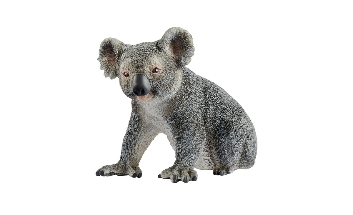 schleich® Koala | detailgetreu & realistisch | BETZOLD